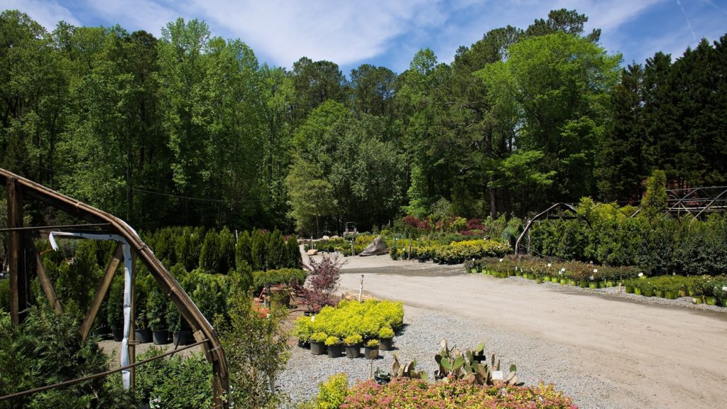 Twin Branch Nursery | Nursery and Landscape