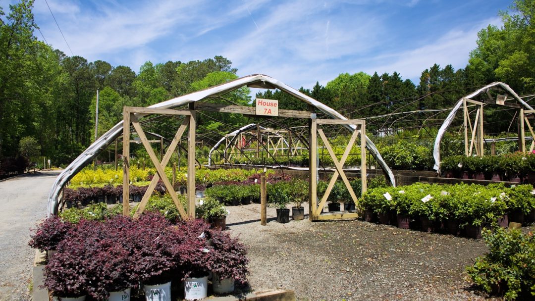 Twin Branch Nursery | Nursery and Landscape