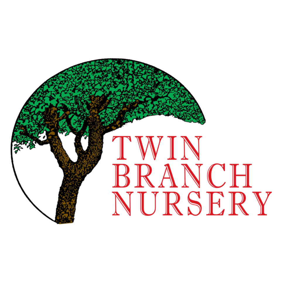 Home - Twin Branch Nursery